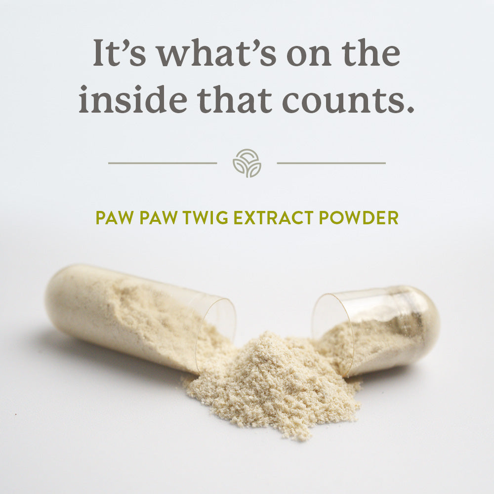 Paw Paw - Nature's Sunshine Products of Australia